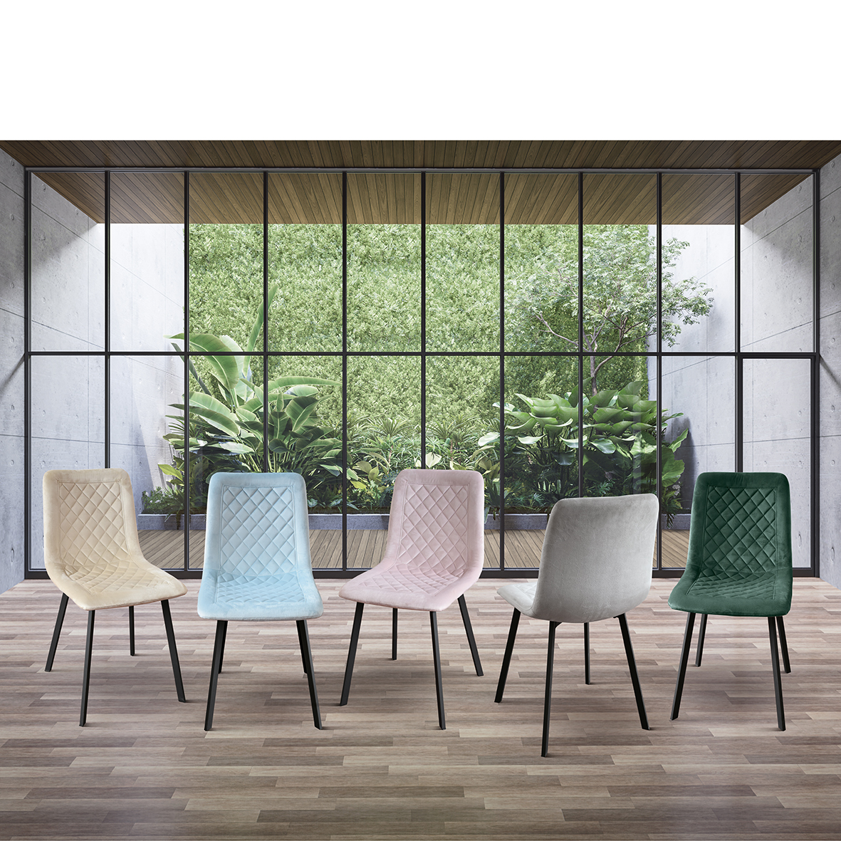 Homepage - Pazzo Design